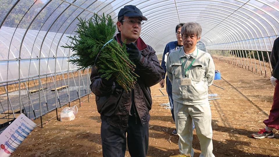 大隅流域森林・林業活性化センターブログ: コンテナ苗生産技術研修会 in 駿河木材